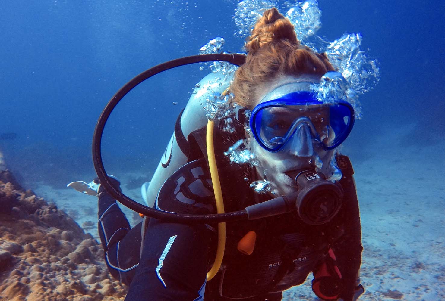 Scuba Diving Tips for Beginners - The Midnight Blue Elephant