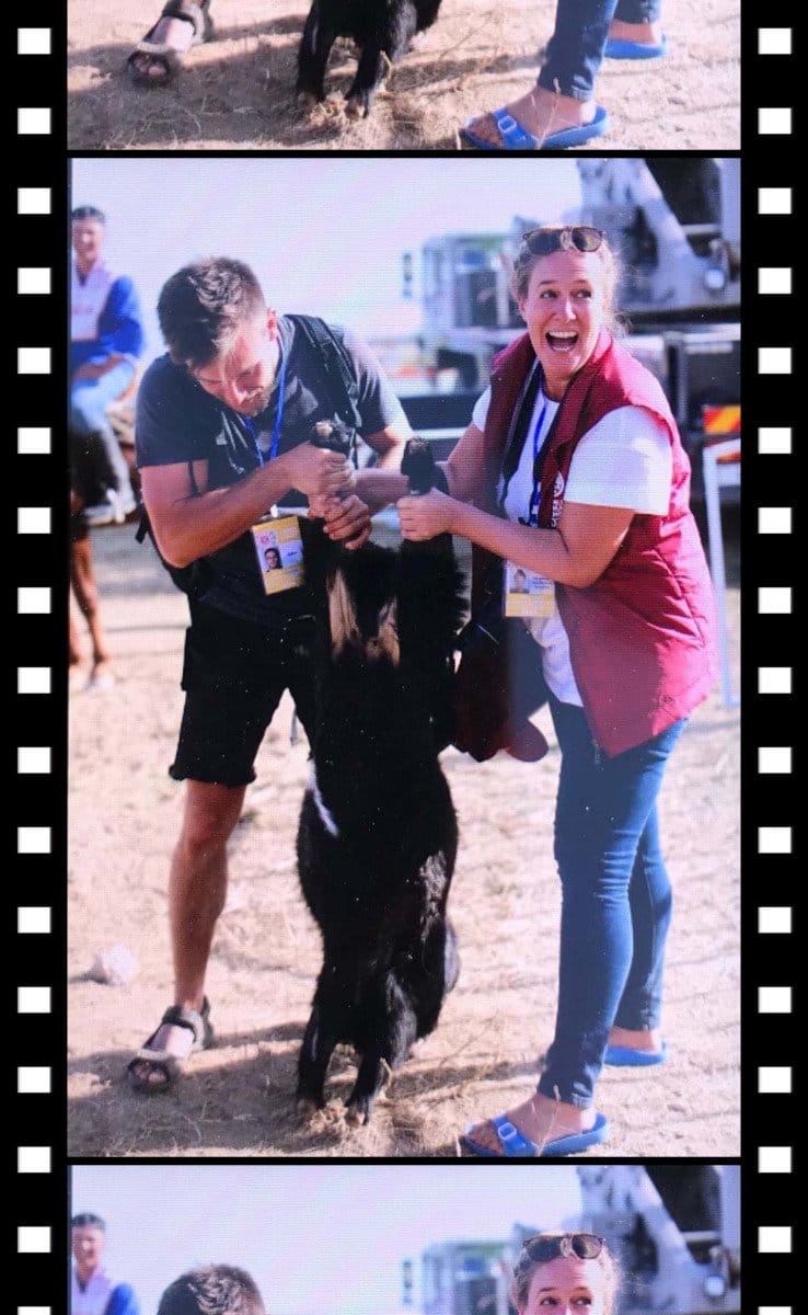 The story of the Headless Goat - Kok Boru in Kyrgyzstan. - The Midnight ...