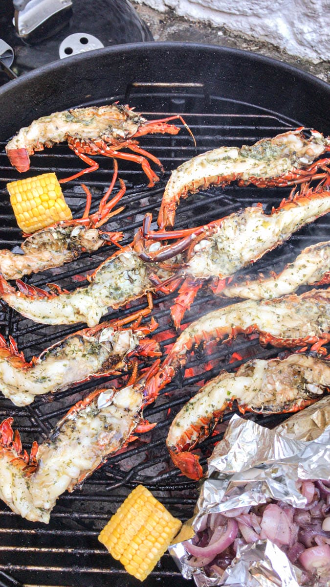 A Mermaid's Guide to Diving in Mauritius. - The Midnight Blue Elephant