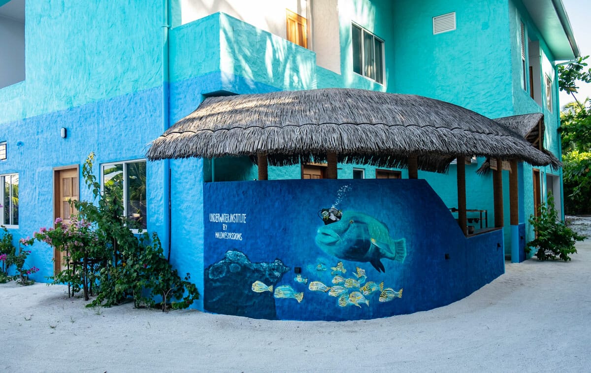 A Guide to Fulhadhoo - Visiting a local island in Maldives. - The ...